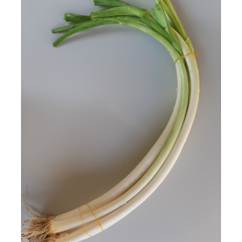 Acasa - Legume Verzi