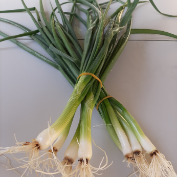 Acasa - Legume Verzi