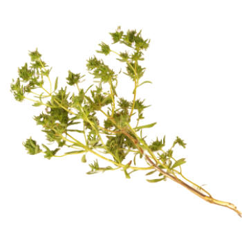 Acasa - Legume Verzi